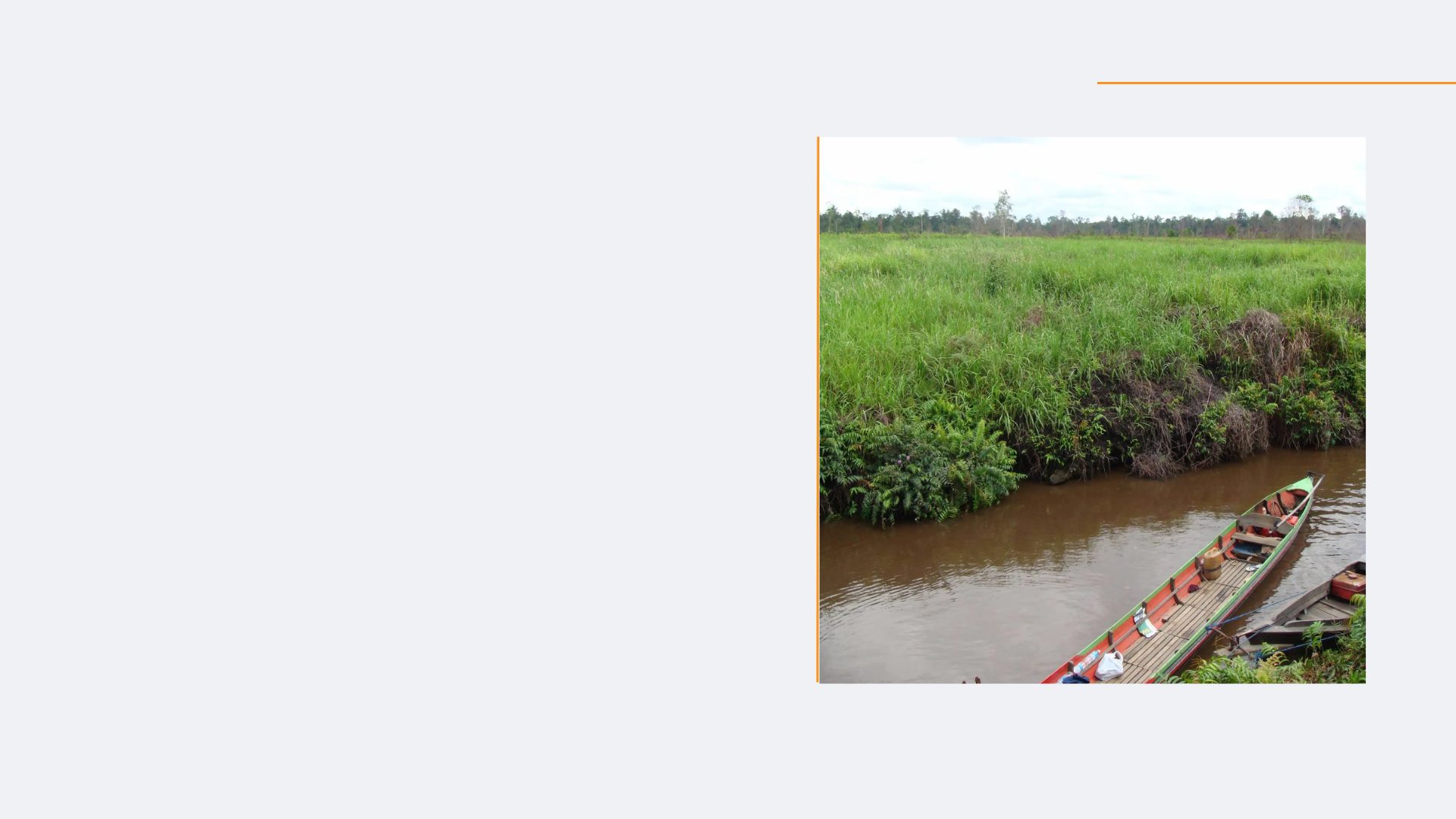 Baseline and Monitoring Methodology for Avoiding Planned Deforestation of Undrained Peat Swamps ...