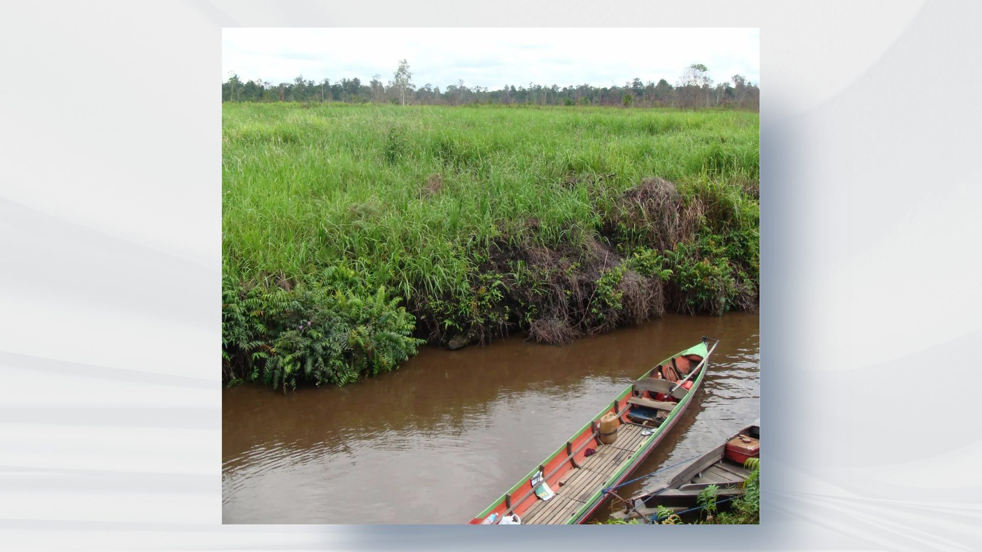 Baseline and Monitoring Methodology for Avoiding Planned Deforestation ...