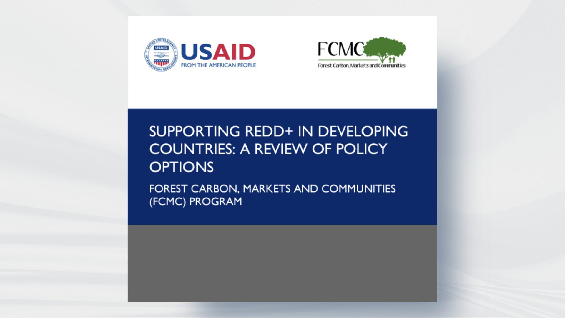 Supporting REDD+ in Developing Countries: A Review of Policy Options ...