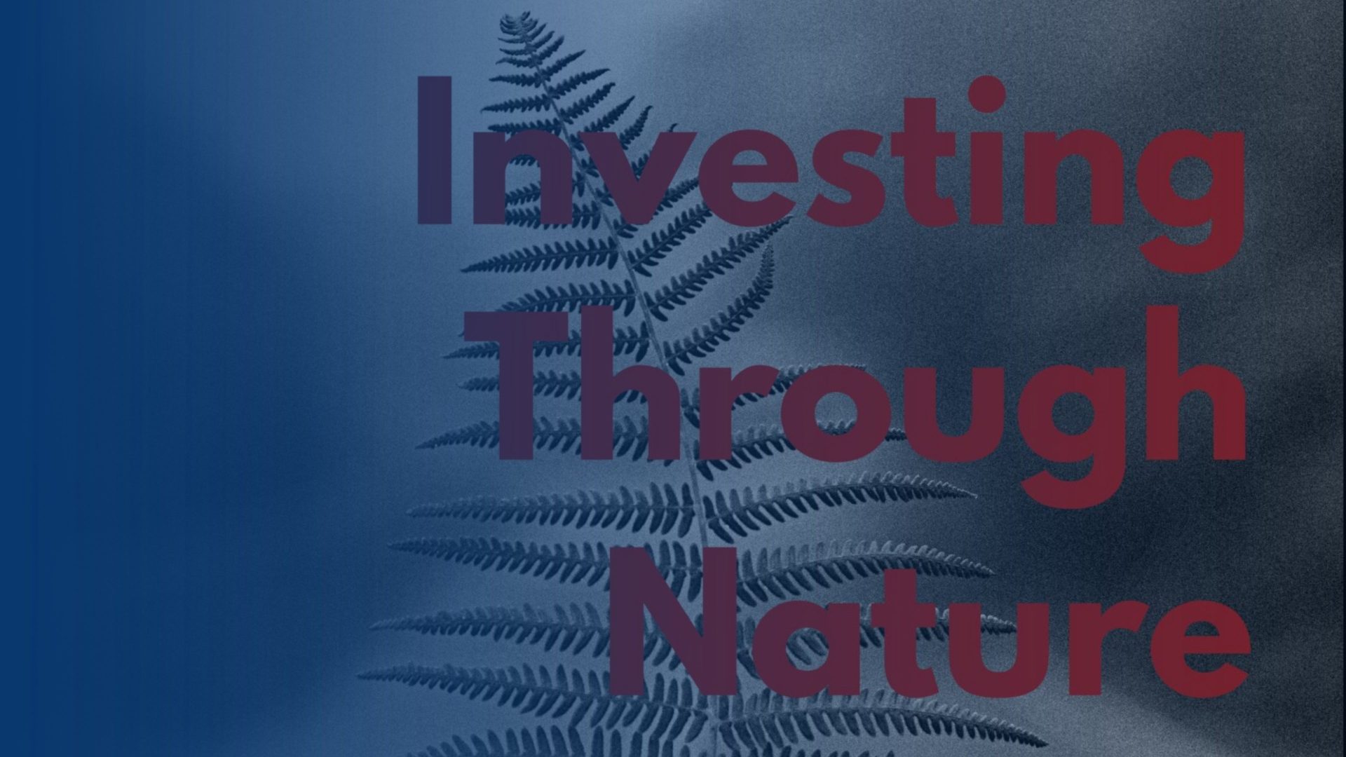Broadpeak & Terra Global Capital Feature: Investing Through Nature ...