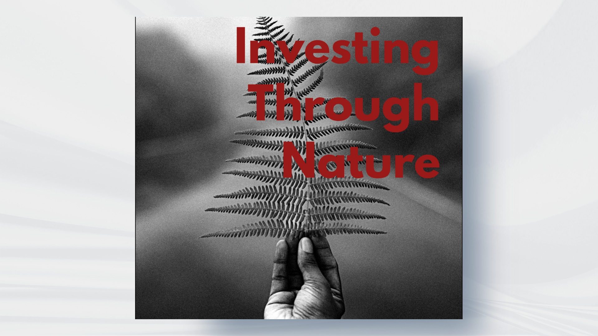 Broadpeak & Terra Global Capital Feature: Investing Through Nature ...